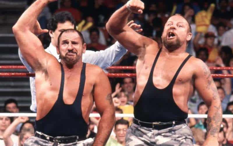 The Best WWF Wrestling Tag Teams Ever